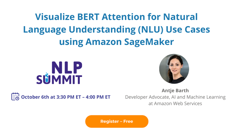 Visualize BERT Attention for Natural Language | NLP Summit