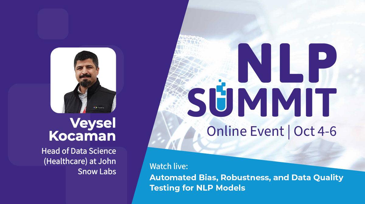 Automated Bias, Robustness, and Data Quality Testing for NLP Models ... Automated Bias, Robustness, and Data Quality Testing for NLP Models ...